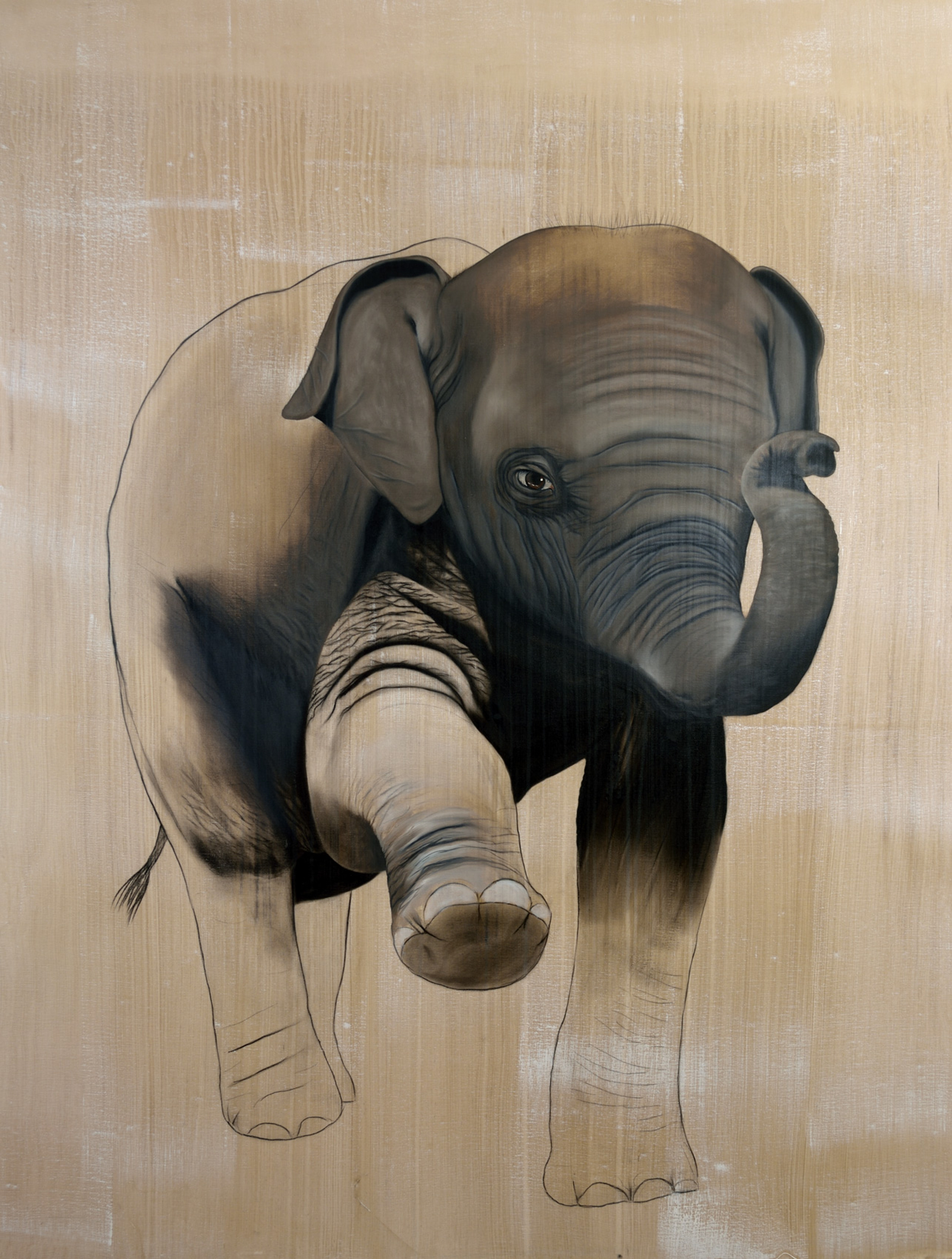 ELEPHAS-MAXIMUS JUNIOR louer une œuvre sur Art2All